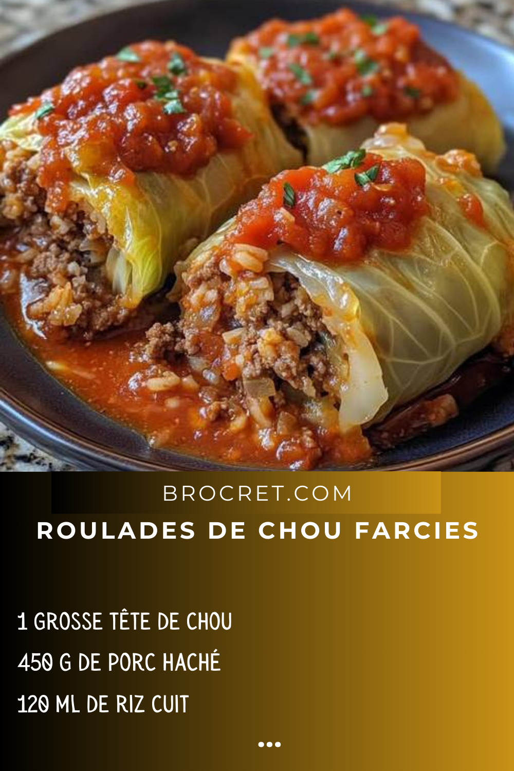 Roulades de Chou Farcies Simple - brocret